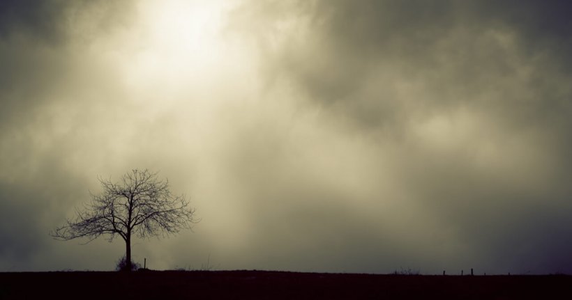 Finding Hope in Jeremiah, the Weeping Prophet