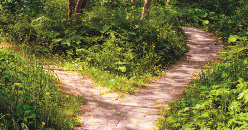 When 2 Bible Translations Disagree, Which One Is Right?