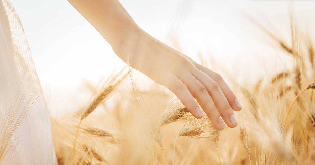 Ruth and Boaz: An Ancient Story with Astonishing Relevance