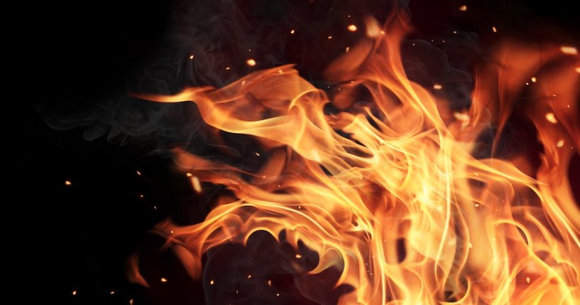 Strange Fire in Leviticus 10, and Why It Earned a Death Sentence