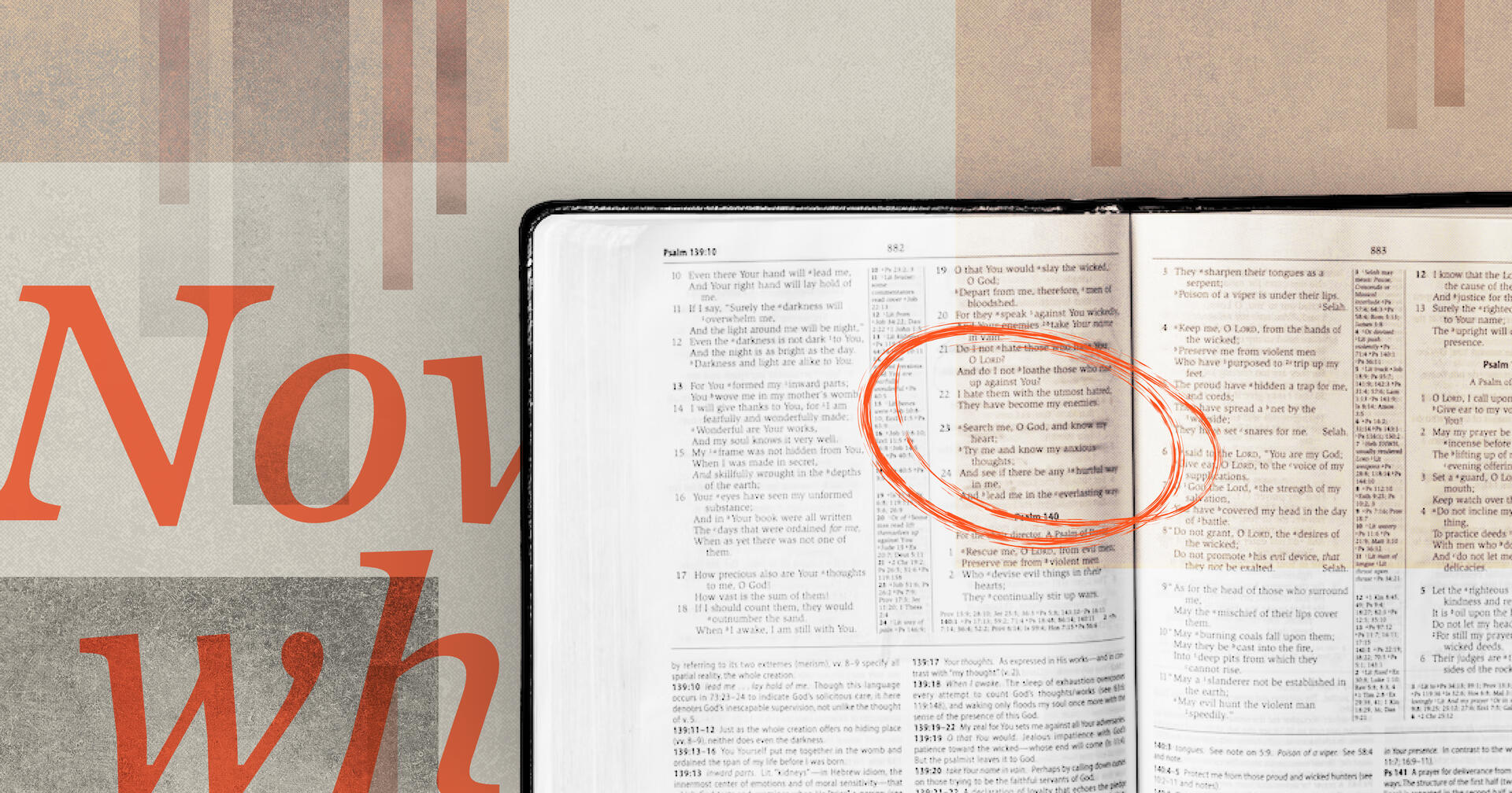 You Just Decided to Study the Bible: Now What?