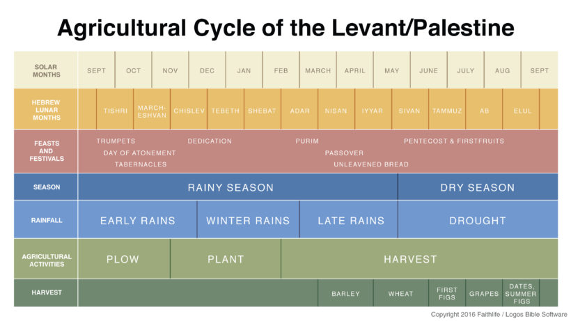 The Shepherds at Jesus’ Birth and the Geography of Bethlehem