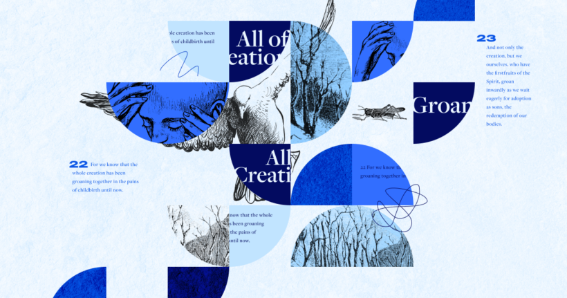 What Does It Mean That All of Creation Groans?