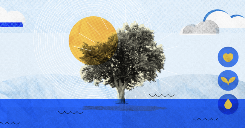 What's the Meaning of the Tree of Life in the Bible?