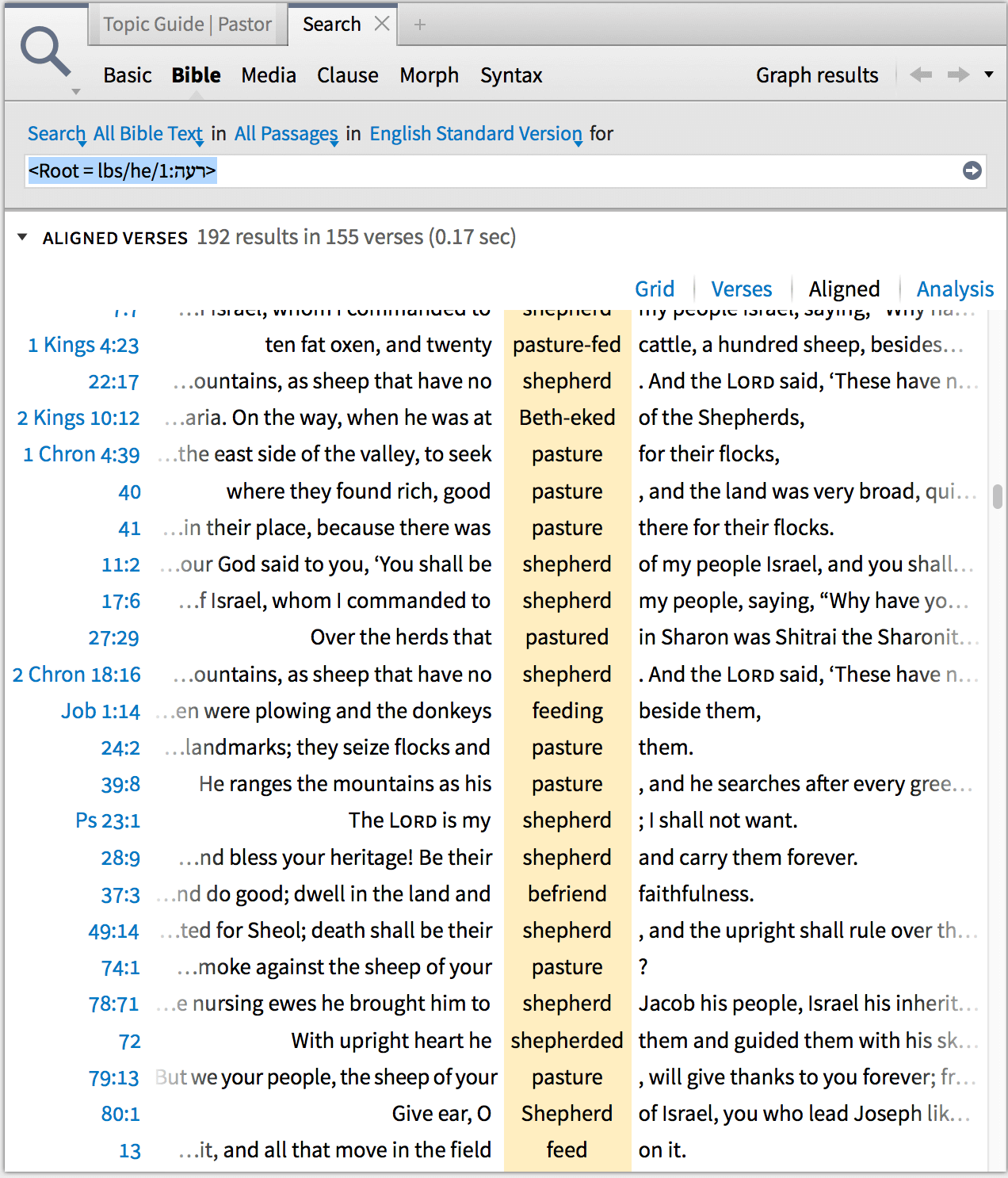 What the Bible Says about the Importance of Pastors